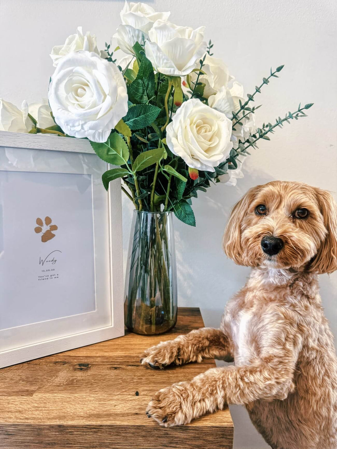 Foiled Pet Paw Print Artwork – More Than Foil